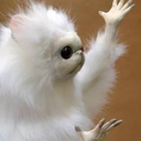 Signal Stickers - Unofficial Signal Sticker Directory